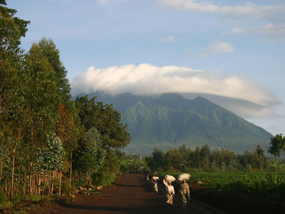 RWANDA PARC NATIONAL DES VOLCANS, RWANDA